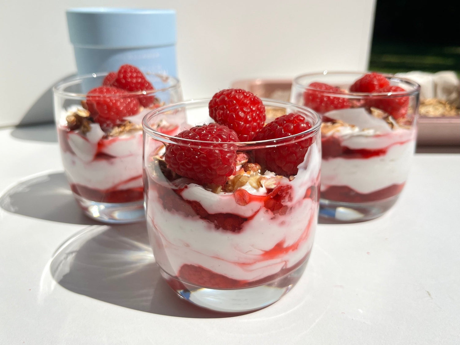 Raspberry Breakfast Pots – The Collagen Co.