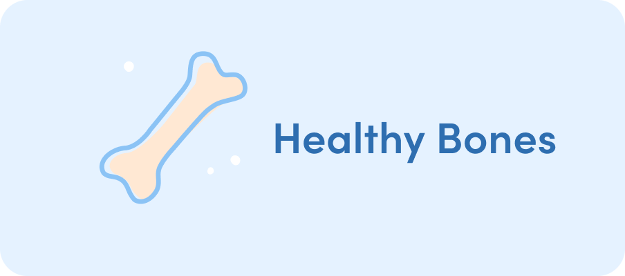 Collagen For Bones Australia | Buy Best Bone Collagen Online – The ...